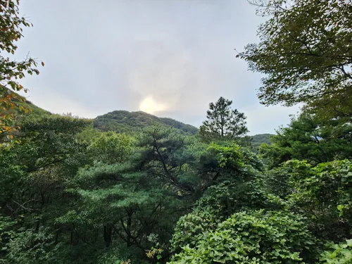 Best Walking Trails in Daedeok-gu | AllTrails