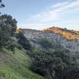 Fryman Canyon Trail, California - 5,951 Reviews, Map | AllTrails