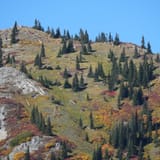 Norway Pass via Boundary Trail, Washington - 374 Reviews, Map | AllTrails