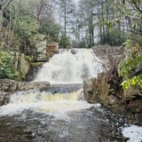 Hawk Falls Trail, Pennsylvania - 2,716 Reviews, Map | AllTrails