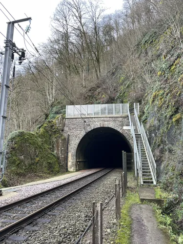 De beste wandelroutes om te wandelen in Bourscheid | AllTrails