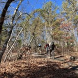 Chestnut Ridge Heritage Preserve Trail, South Carolina - 1,472 Reviews ...