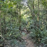 Magens Bay Beach Trail, Saint Thomas, US Virgin Islands - 349 Reviews ...