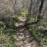 Homestead Trail, Texas - 1,400 Reviews, Map | AllTrails