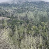 Goodspeed-Nattkemper Trail to Mount Hood Peak and Gunsight Lookout ...