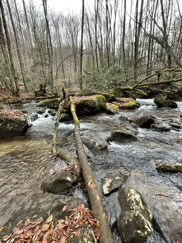 Best Hikes and Trails in Holly River State Park | AllTrails