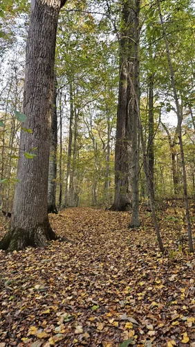 Best Hikes and Trails in Spring Mill State Park | AllTrails