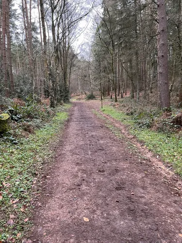 Best Views Trails in Kingsford Forest Park | AllTrails