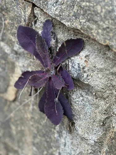 Best Hikes and Trails in Maddox Park | AllTrails