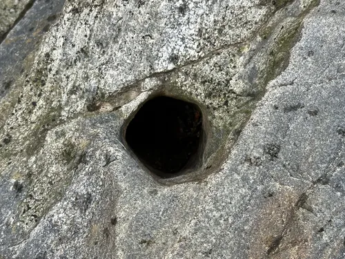 Best Hikes and Trails in Maddox Park | AllTrails