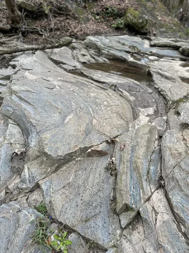 Best Hikes and Trails in Maddox Park | AllTrails