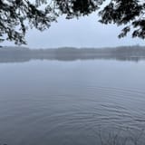Chamberlain-Reynolds Memorial Forest Loop, New Hampshire - 961 Reviews ...