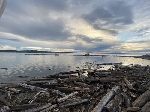 Best Hikes and Trails in Double Bluff Park | AllTrails