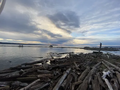 Best Hikes and Trails in Double Bluff Park | AllTrails