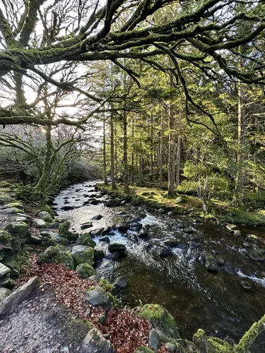 Best Backpacking Trails in Killarney National Park | AllTrails