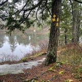 Chamberlain-Reynolds Memorial Forest Loop, New Hampshire - 961 Reviews ...