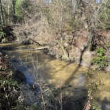 Torreya Challenge, Florida - 234 Reviews, Map | AllTrails