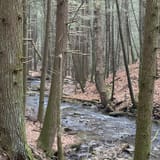 Buffam Falls White Trail , Massachusetts - 480 Reviews, Map | AllTrails