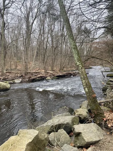 Best Hikes and Trails in Mianus River Park | AllTrails