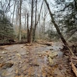 Eagle's Nest via Sand Spring and Tom Lowe Trails Loop, Pennsylvania ...