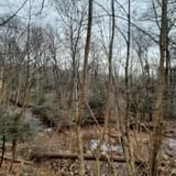 Eagle's Nest via Sand Spring and Tom Lowe Trails Loop, Pennsylvania ...