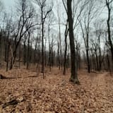 Eagle's Nest via Sand Spring and Tom Lowe Trails Loop, Pennsylvania ...