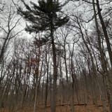 Eagle's Nest via Sand Spring and Tom Lowe Trails Loop, Pennsylvania ...