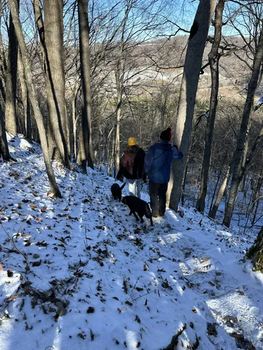 Best Hikes and Trails in Wildcat Mountain State Park | AllTrails