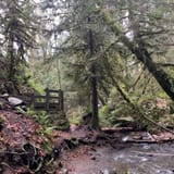 Madison Falls Trail, Washington - 1,589 Reviews, Map | AllTrails