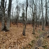 Eagle's Nest via Sand Spring and Tom Lowe Trails Loop, Pennsylvania ...
