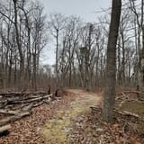 Eagle's Nest via Sand Spring and Tom Lowe Trails Loop, Pennsylvania ...