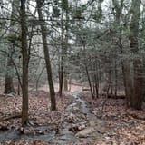 Eagle's Nest via Sand Spring and Tom Lowe Trails Loop, Pennsylvania ...