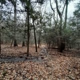 Eagle's Nest via Sand Spring and Tom Lowe Trails Loop, Pennsylvania ...