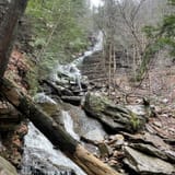 Lye Brook Falls Trail, Vermont - 2,763 Reviews, Map | AllTrails