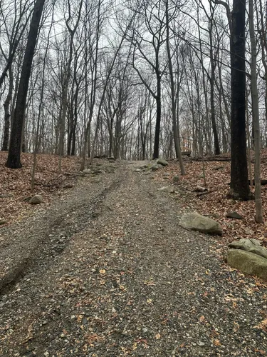 Best Hikes and Trails in Silas Condict Park | AllTrails