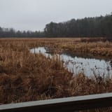 Rush Pond Trail, New York - 1,142 Reviews, Map | AllTrails