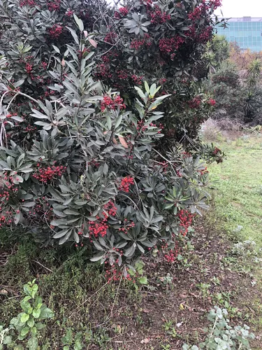 Best 10 Hiking Trails in Brea Dam Recreation Area | AllTrails