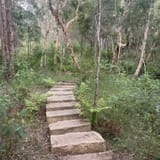 Trachyte Circuit, Queensland, Australia - 226 Reviews, Map | AllTrails