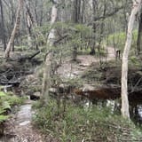 Trachyte Circuit, Queensland, Australia - 226 Reviews, Map | AllTrails