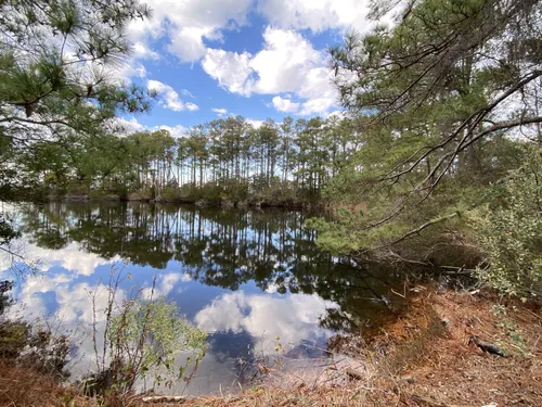 Best Hikes and Trails in Fort Raleigh National Historic Site | AllTrails