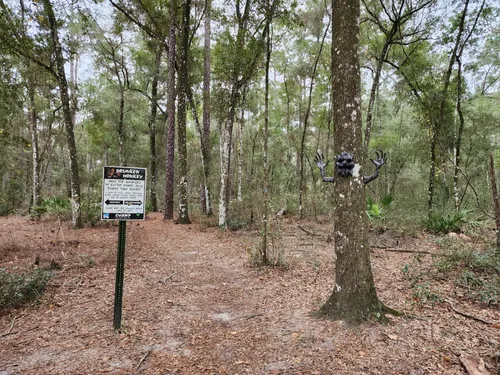 Best 10 Hiking Trails in Croom Wildlife Management Area | AllTrails
