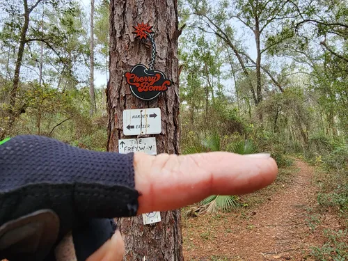 Best 10 Hiking Trails in Croom Wildlife Management Area | AllTrails