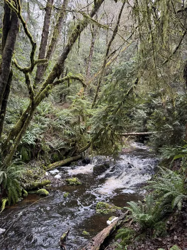 Best Hikes and Trails in Port Ludlow | AllTrails