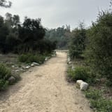Lower Arroyo Seco Trail, California - 1,545 Reviews, Map | AllTrails