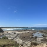 Berrara Waterfall, New South Wales, Australia - 62 Reviews, Map | AllTrails