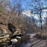 Tanyard Perimeter Loop, Arkansas - 2,493 Reviews, Map | AllTrails