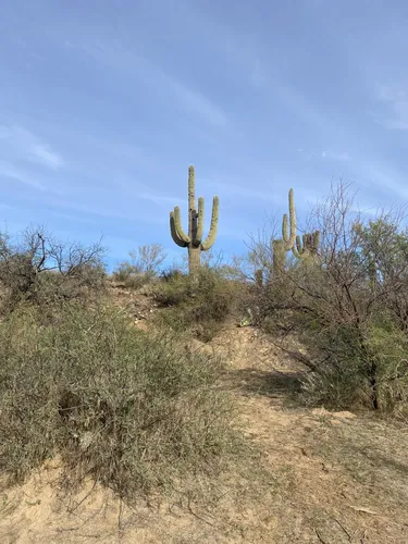 Best Hikes and Trails in Bumble Bee Ranch | AllTrails