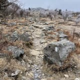 Wilburn Ridge via Appalachian Trail, Virginia - 1,799 Reviews, Map ...