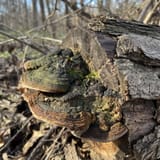 Ray Harral Nature Park, Oklahoma - 623 Reviews, Map | AllTrails