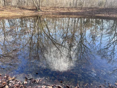 Best Hikes and Trails in Fewel Conservation Area | AllTrails